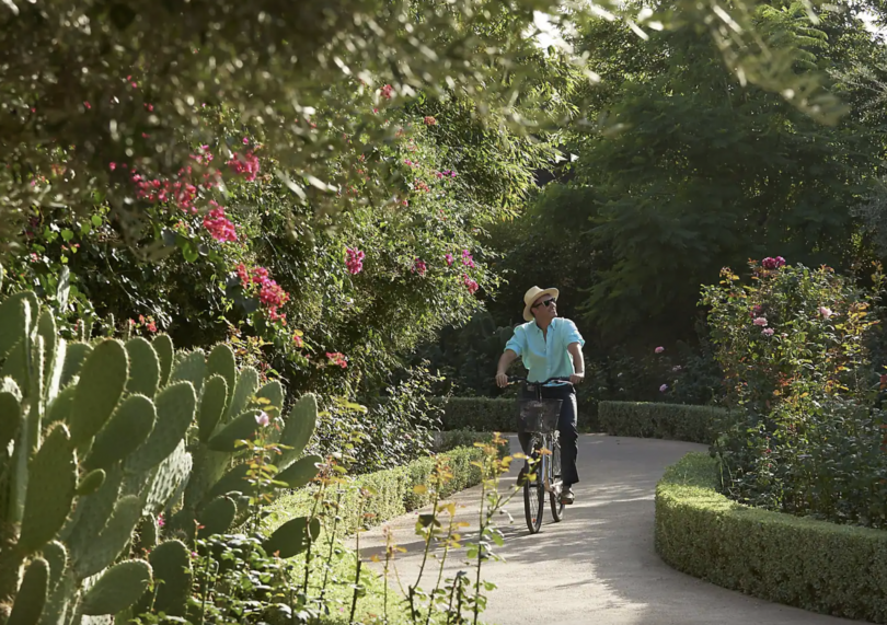 Destination wedding em Marrakech: descubra todas as maravilhas do ...