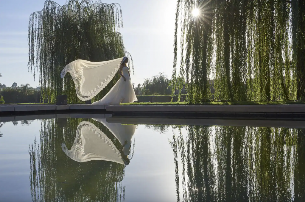 Destination wedding em Marrakech: descubra todas as maravilhas do ...